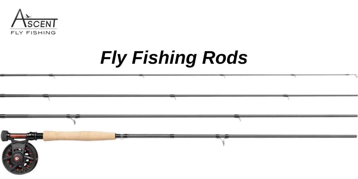 Choosing the Right Fly Rod for Fly Fishing: Freshwater, Saltwater & Rod ...