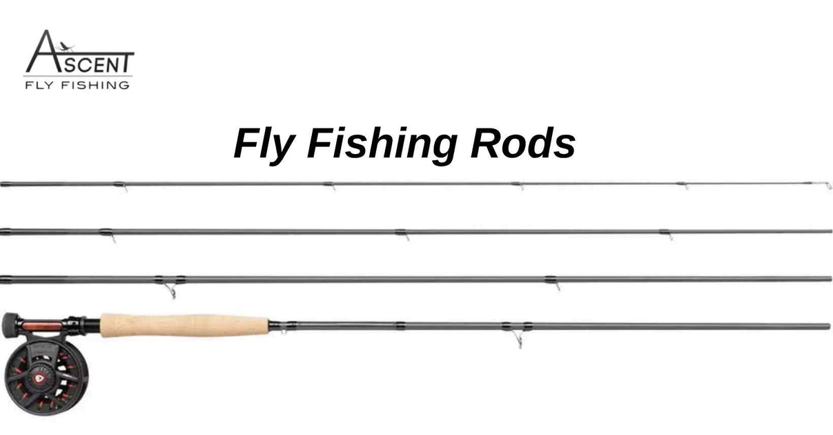 Choosing the Right Fly Rod for Fly Fishing: Freshwater, Saltwater & Rod ...