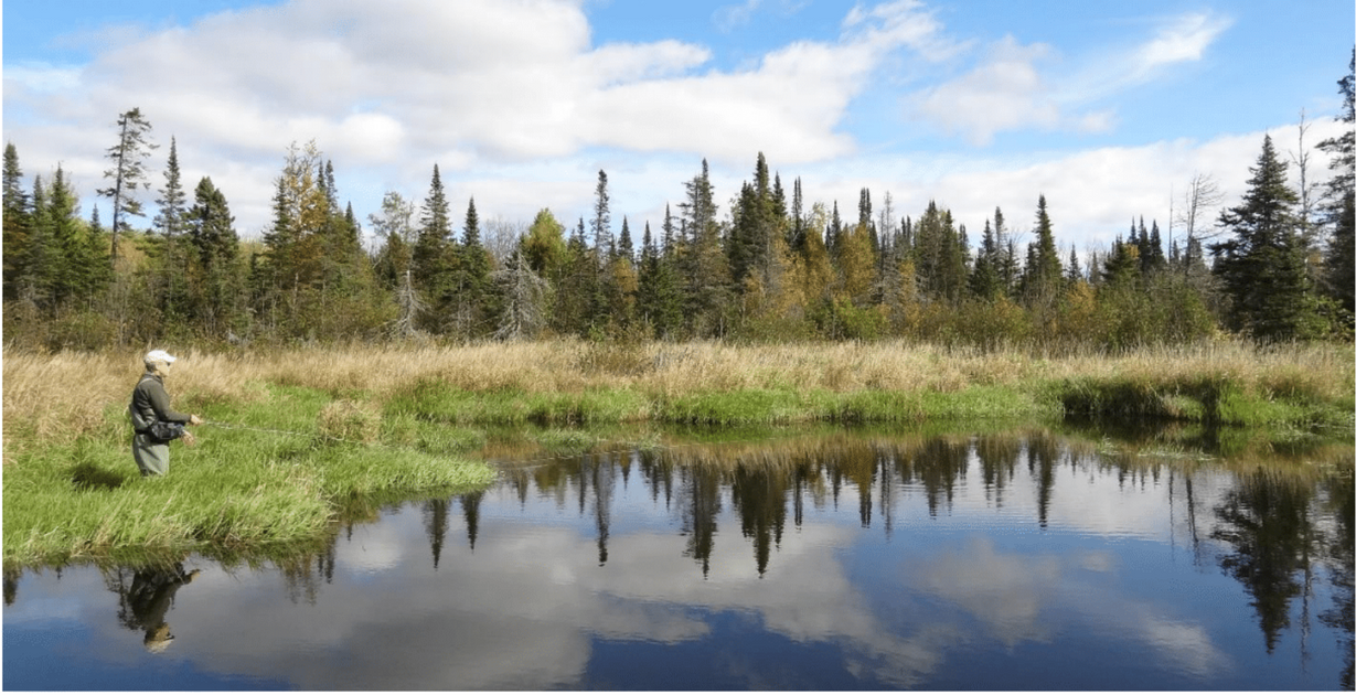 4 Things to Know when Fly Fishing Beaver Ponds — Ascent Fly Fishing