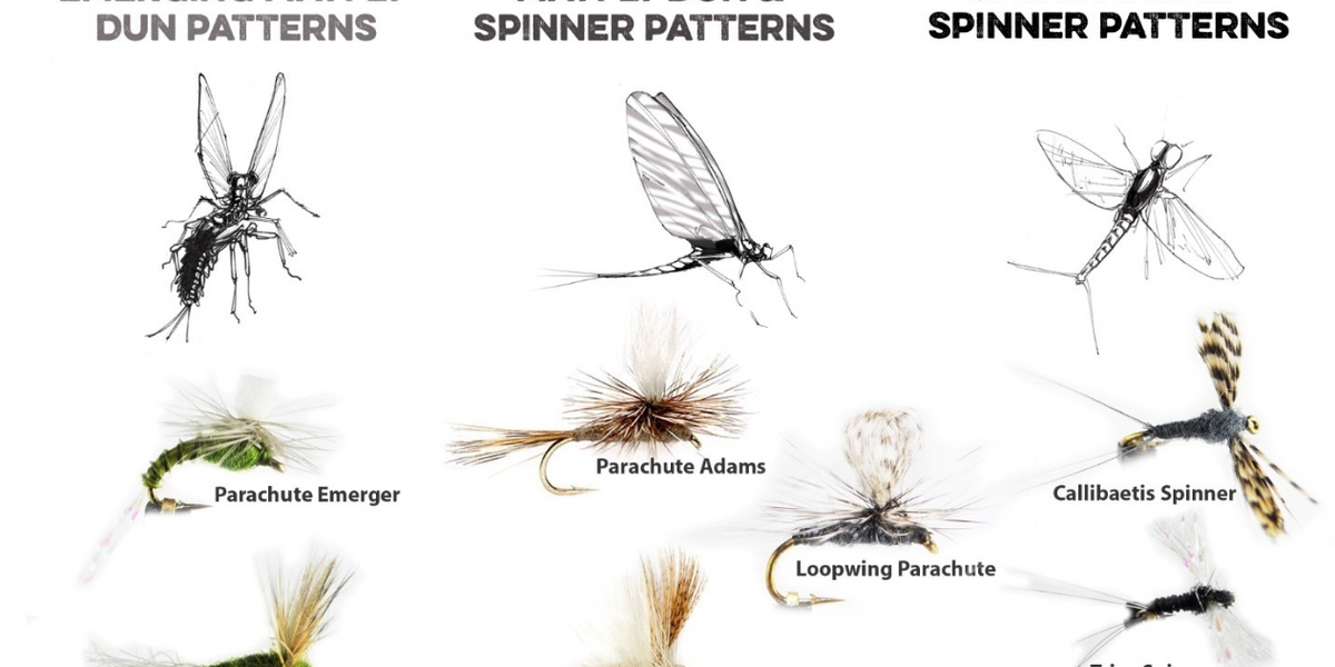 Go-To Fly Patterns for the Mayfly Menu: Part II – Duns & Spinners ...