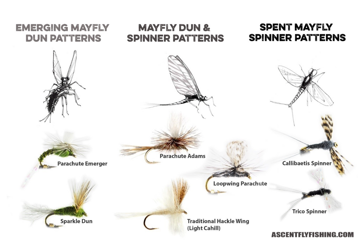 Go-To Fly Patterns for the Mayfly Menu: Part II – Duns & Spinners ...