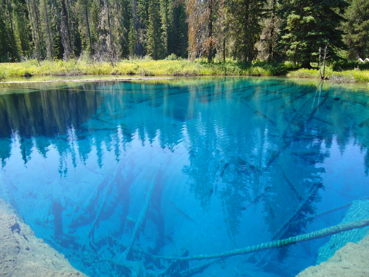 Trout Need to See it to Eat it - How to Choose Fly Patterns Based on W ...