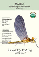 Learn to Anticipate the Next Hot Hatch — Ascent Fly Fishing