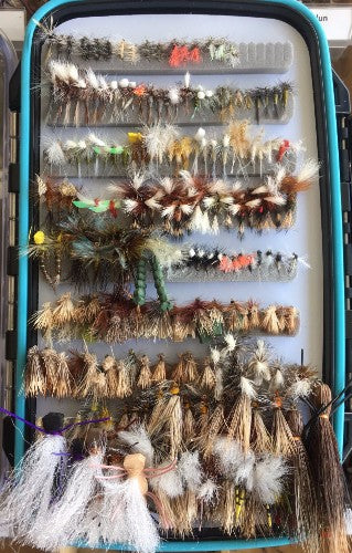 The 5 Steps to Choosing the Best Fly Pattern — Ascent Fly Fishing