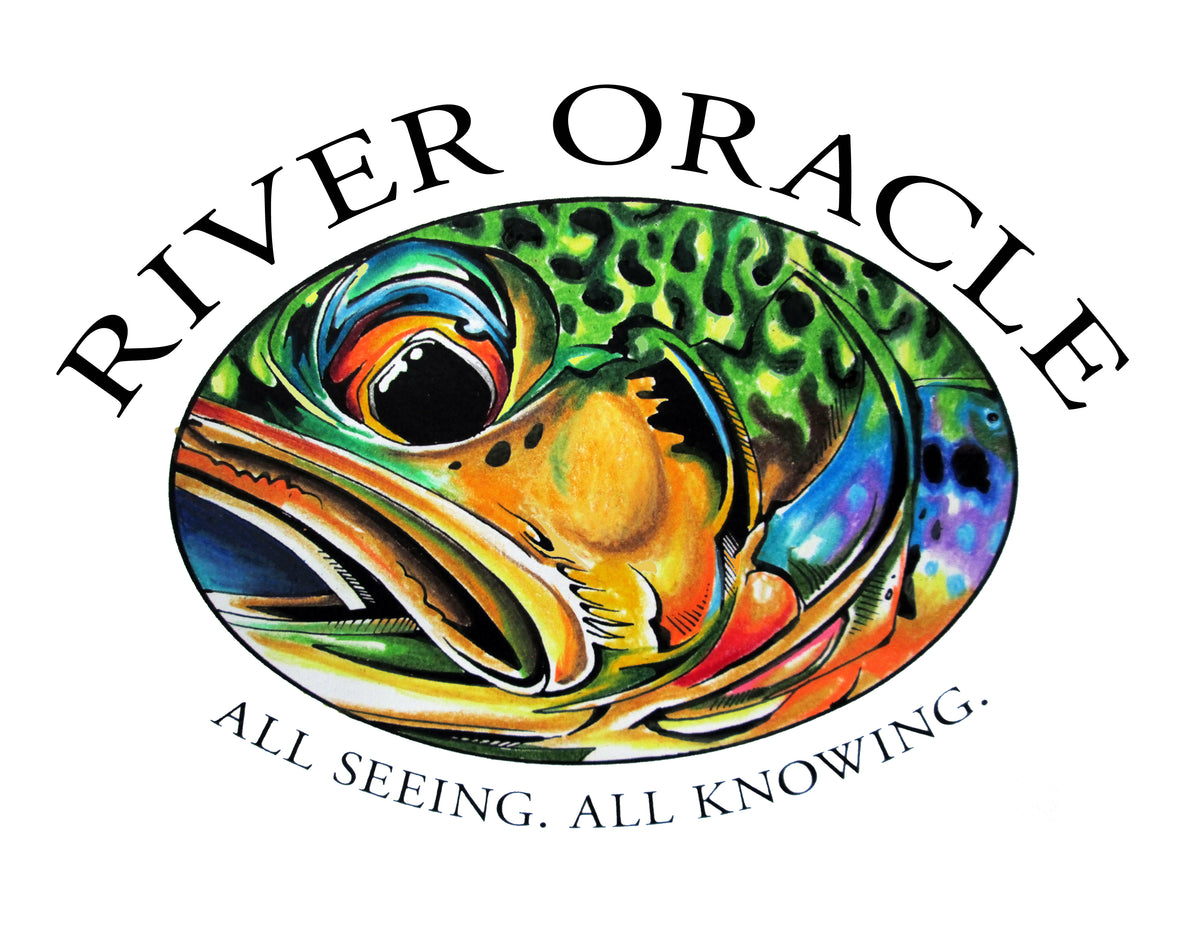 Ask the River Oracle: If fishing is slow, how often should I change fl ...