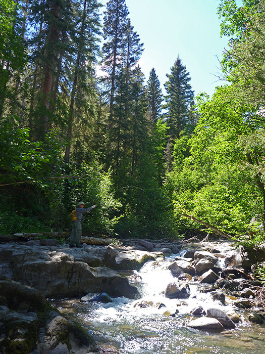 Fiberglass Fly Rods: The New, Old Standard — Ascent Fly Fishing