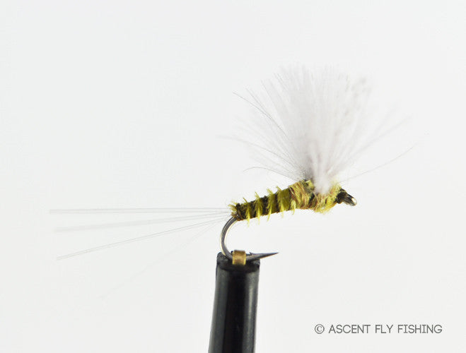 BWO CDC Comparadun — Ascent Fly Fishing