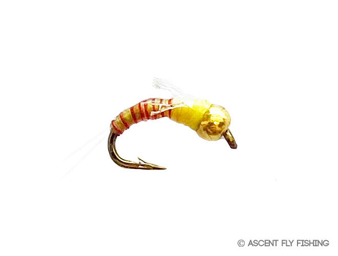 Beadhead Juju Yellow Sally — Ascent Fly Fishing