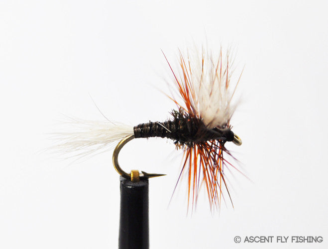 H & L Variant — Ascent Fly Fishing