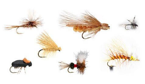 Mixed Dozen Dry Fly Selection — Ascent Fly Fishing