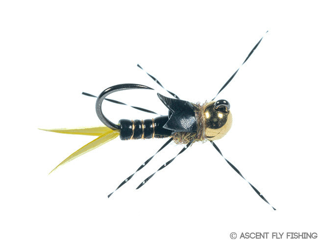 Tungsten Jig Iron Sally — Ascent Fly Fishing