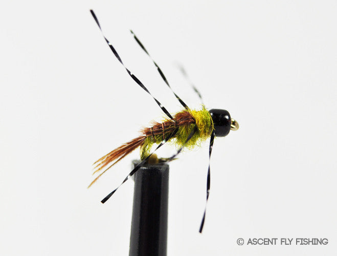 Anato Mayfly Nymph — Ascent Fly Fishing
