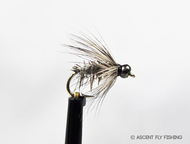 Spotted Sedge Patterns — Ascent Fly Fishing