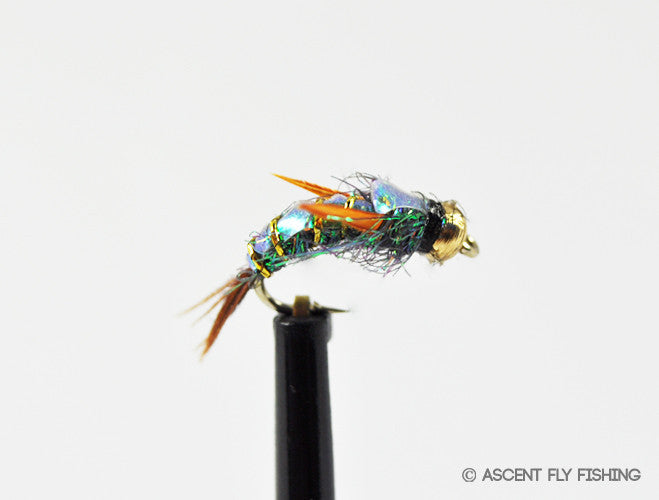 Beadhead Evil Weevil — Ascent Fly Fishing