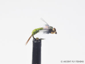 Beadhead Flashback Barr's Emerger BWO — Ascent Fly Fishing