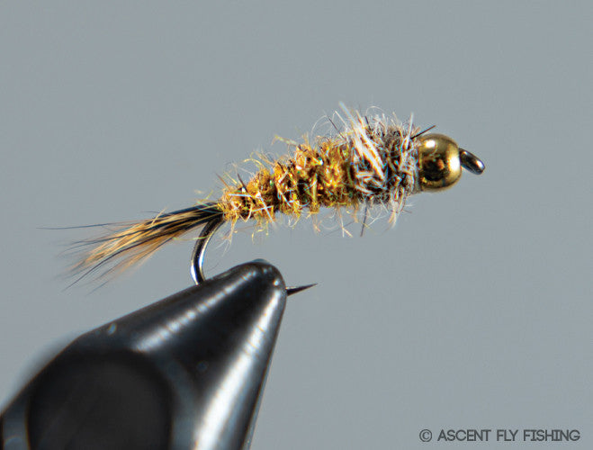 Beadhead Red Squirrel Nymph — Ascent Fly Fishing