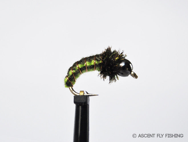 Beadhead Woven Green Caddis Larva — Ascent Fly Fishing