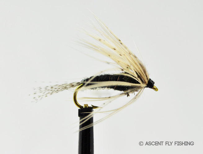 Mayfly Nymph Patterns — Ascent Fly Fishing