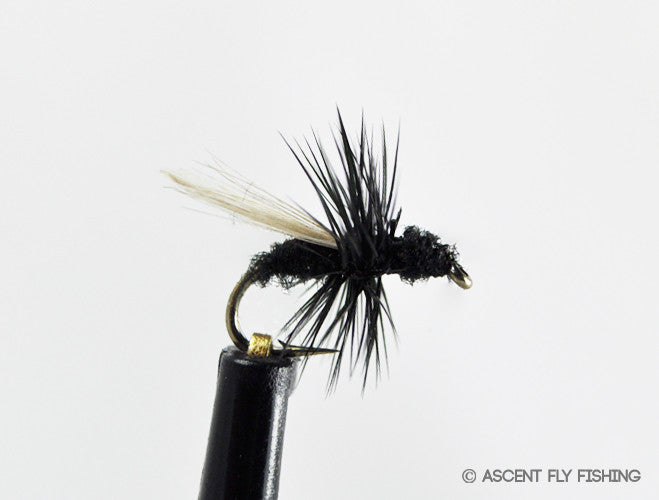 Flying Ant Flies – Red, Small & Large Winged Ants for Fly Fishing ...