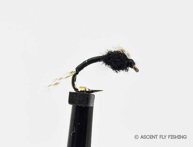 Mayfly Nymph Patterns — Ascent Fly Fishing