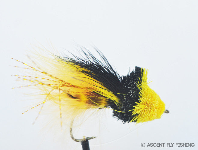 Boogle Bug Popper — Ascent Fly Fishing