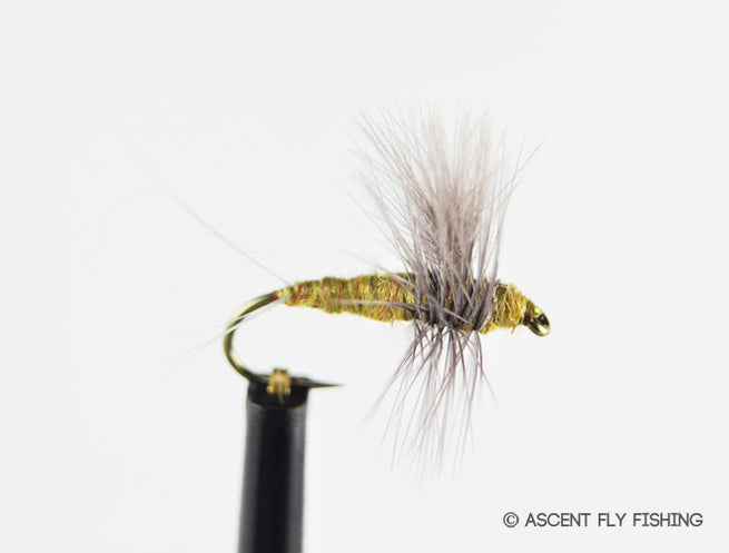 BWO Fly Patterns | Blue Winged Olive Duns, Nymphs & Emergers — Ascent ...