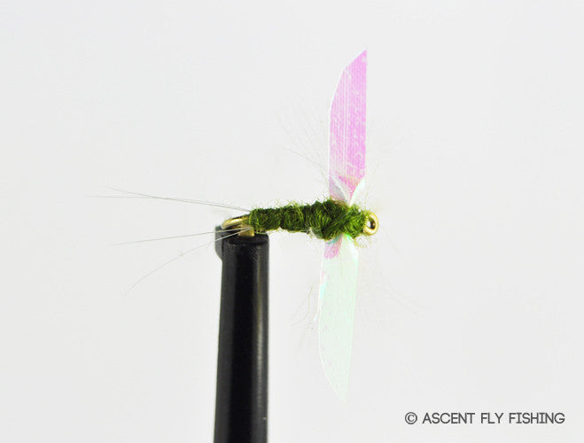 BWO CDC Pearlwing Spinner — Ascent Fly Fishing