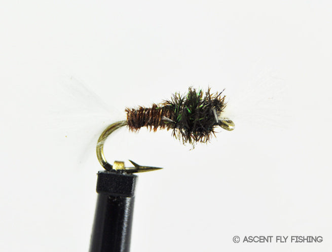 Chironomid Patterns — Ascent Fly Fishing