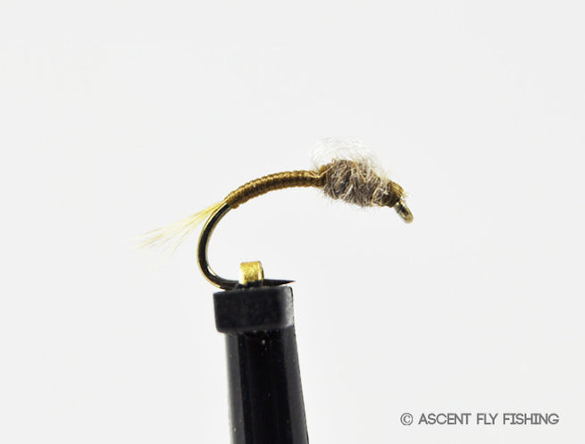 Mayfly Nymph Patterns — Ascent Fly Fishing