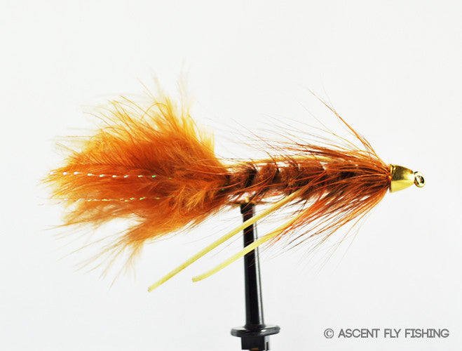 Conehead Autumn Splendor — Ascent Fly Fishing