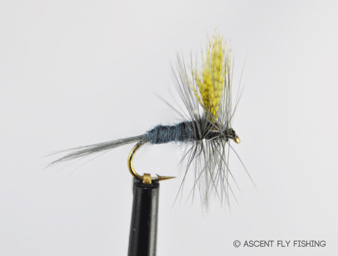 Dark Hendrickson — Ascent Fly Fishing