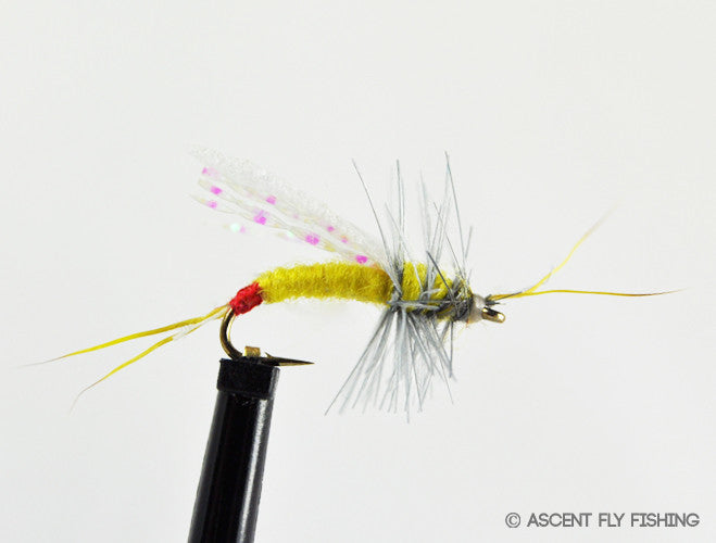 Flint's Yellow Sally — Ascent Fly Fishing