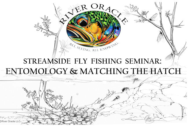 Streamside Fly Fishing Seminar: Entomology & Matching the Hatch ...