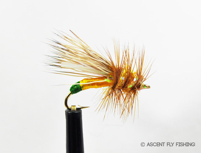 Mini Hot — Ascent Fly Fishing