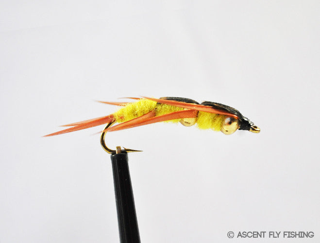 Double Beadhead Stonefly Nymph — Ascent Fly Fishing