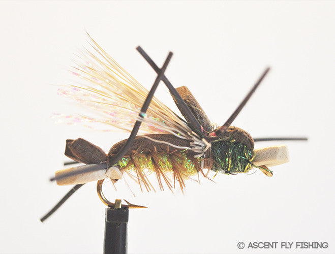 Flying Red Ants and Colors - Amy's Ant — Ascent Fly Fishing
