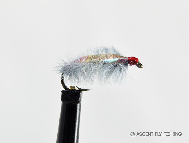 Ray Charles — Ascent Fly Fishing