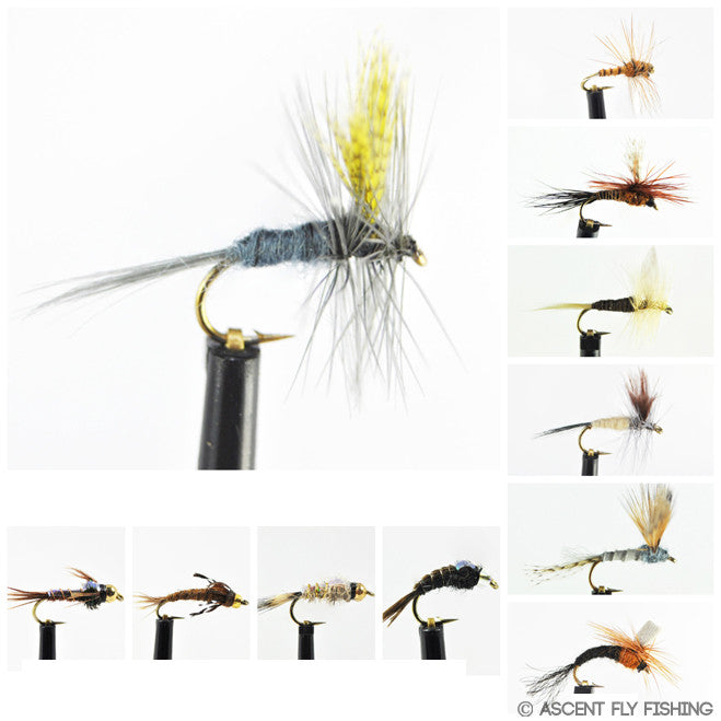 Hendrickson Mayfly Selection — Ascent Fly Fishing