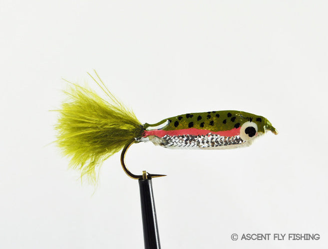 Rainbow Trout Flies & Gear | Premium Rainbow Trout Fly Fishing — Ascent ...