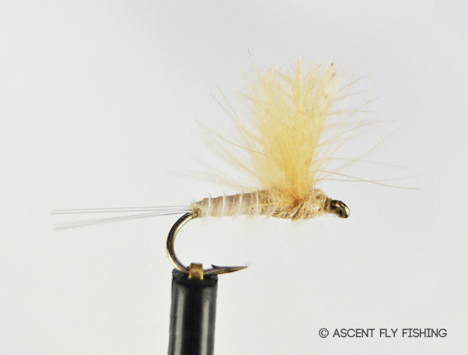 Light Cahill CDC Comparadun — Ascent Fly Fishing