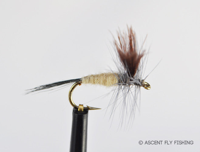Light Hendrickson — Ascent Fly Fishing