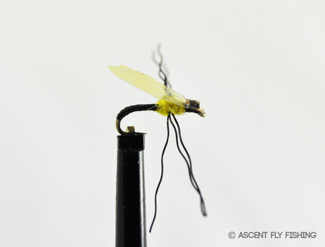 Magic Midge — Ascent Fly Fishing