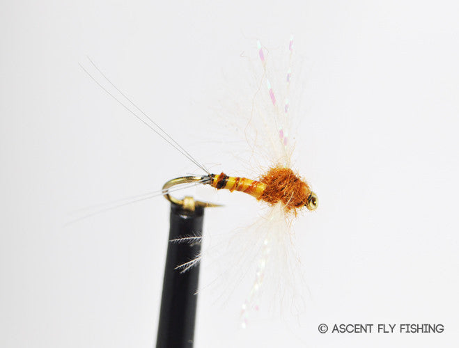 March Brown Pearlwing Spinner — Ascent Fly Fishing