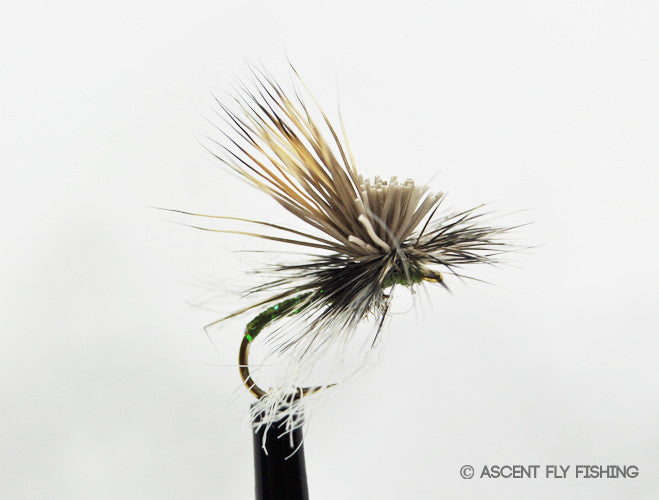 Missing Link Caddis — Ascent Fly Fishing