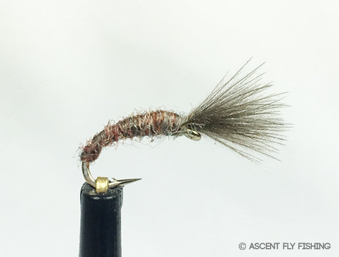 Mole Fly — Ascent Fly Fishing