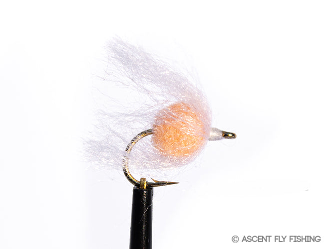 Nuke Egg — Ascent Fly Fishing