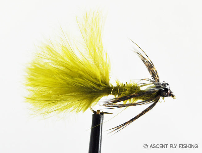 Products — Ascent Fly Fishing