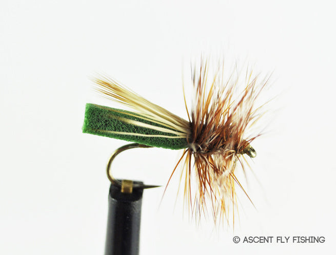 Caddis Flies — Ascent Fly Fishing