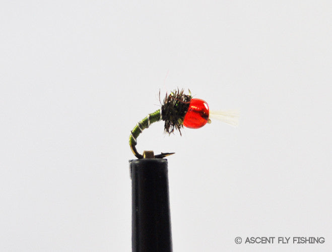 Rojo Midge Fly – Vibrant Attractor Midge Pattern for Trout | Ascent Fly ...