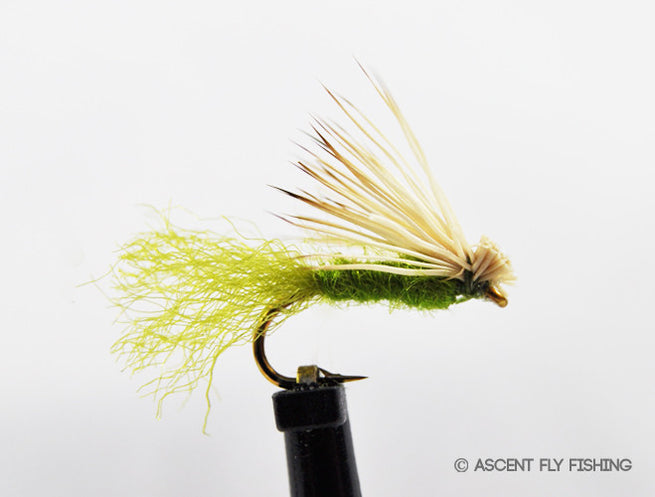 Dry Caddis Patterns — Ascent Fly Fishing